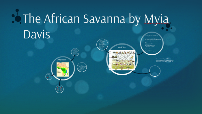 The Savanna Biome by myia davis on Prezi
