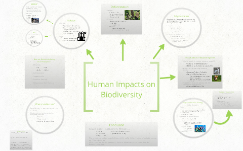 Human Impacts on Biodiversity by Lauren McNeela on Prezi