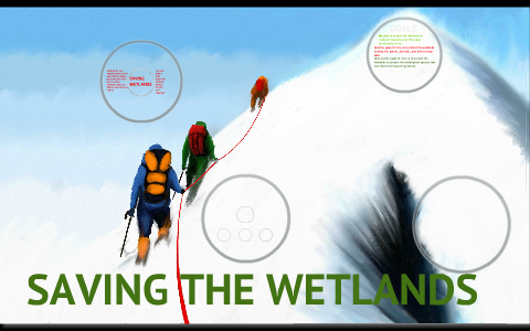 wetlands by austin beech on Prezi