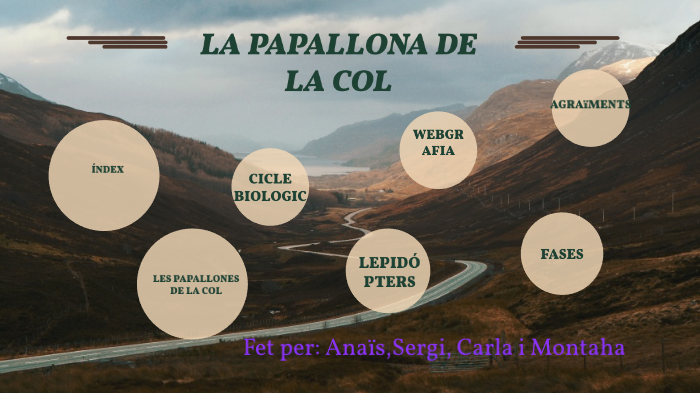 La papallona de la col by Montaha Benkhalifa on Prezi