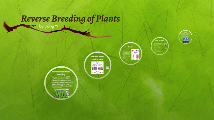 Reverse Breeding of Plants by Cynthia Novus on Prezi