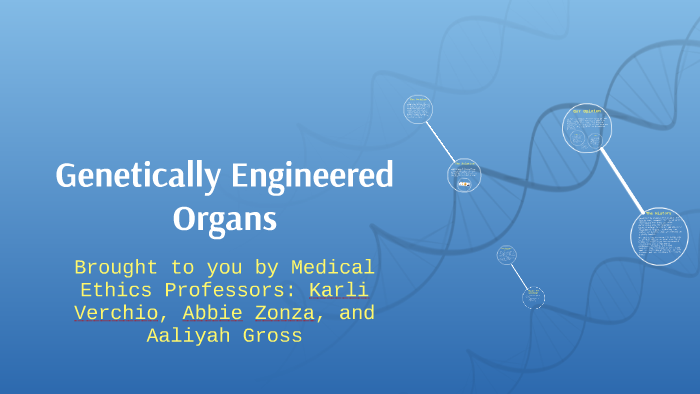 Genetically Engineered Organs by on Prezi