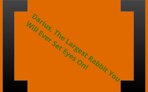 Darius, The world's Largest Rabbit. by Bryce McCoy on Prezi