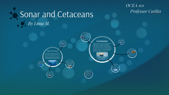 Sonar and Cetaceans by Luna Mooney on Prezi