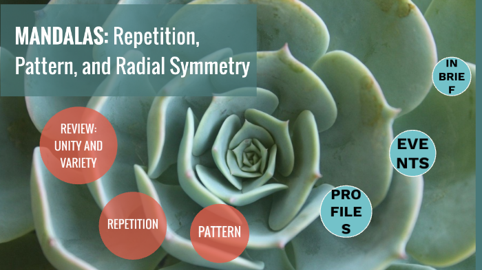 Mandalas: Repetition, Pattern, and Radial Symmetry by Samantha Estes on ...