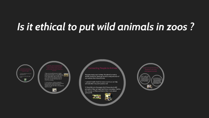 Is it ethical to put wild animals in zoos ? by Eric Tran on Prezi