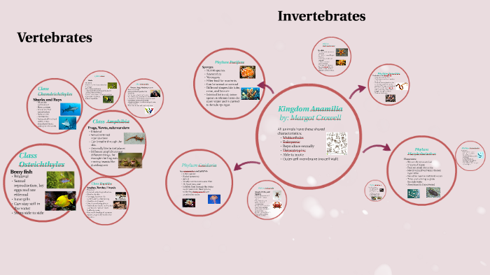 Kingdom Anamilia by margot crowell on Prezi