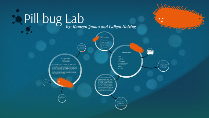 Pill Bug Lab by Laikyn Holsing on Prezi