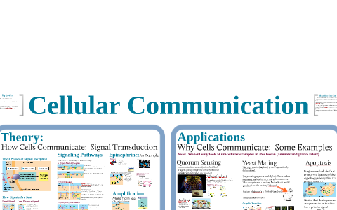 AP Bio- Cells 5: Communication by Dayna Angelozzi on Prezi