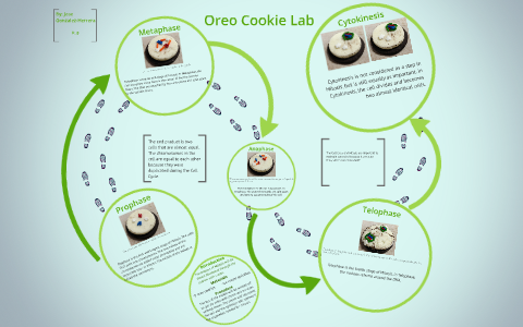 Oreo Cookie Lab by on Prezi