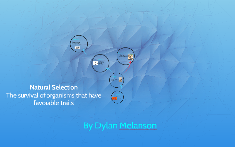 Natural Selection by Dylan Melanson on Prezi
