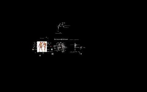 Anatomie by Imke de Bruijn on Prezi