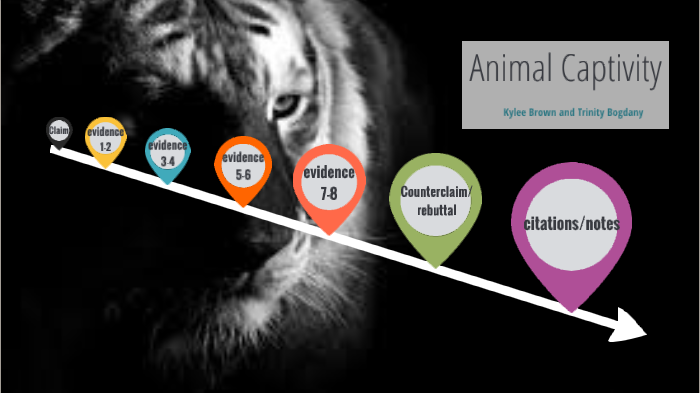 Animal Captivity by Trinity Bogdany on Prezi