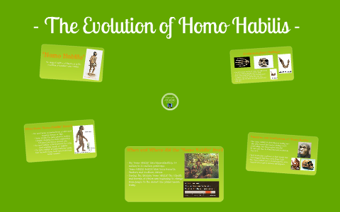 The Evolution of Homo Habilis by Ashleigh Isabel on Prezi