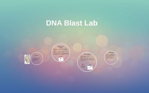 DNA Blast Lab by Rachel Marcus on Prezi