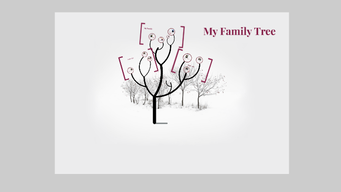 My Family Tree by Alexia Sommers on Prezi