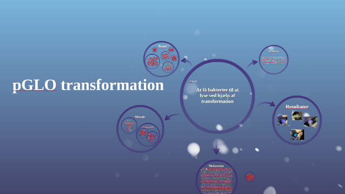 pGLO transformation by anika jørgensen on Prezi