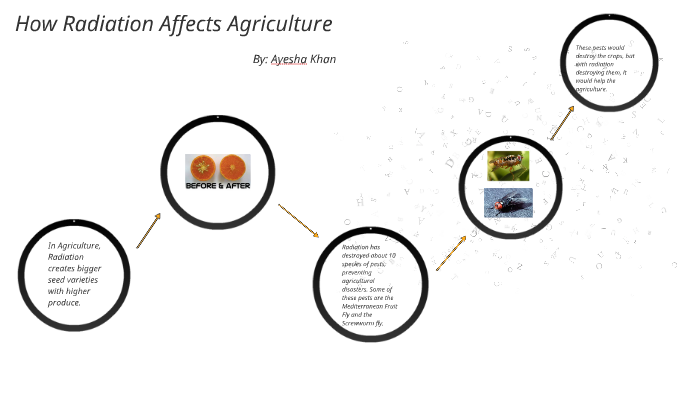 How Radiation Affects Agriculture by Ayesha Khan on Prezi