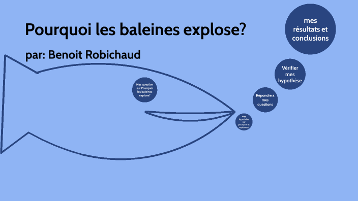 Pourquoi les baleines explose? by Benoit Robichaud on Prezi