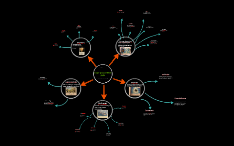 5 Super groups and their phyla by David Patton on Prezi