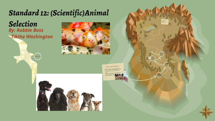 Animal selection by Robbie Boss on Prezi