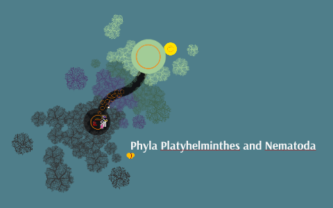 Phyla Platyhelminthes and Nematoda by Ashley Libert on Prezi