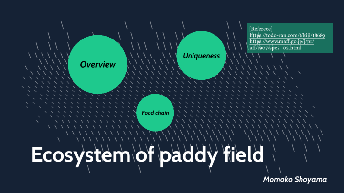 Ecosystem of rice paddy field by Momoko Shoyama on Prezi