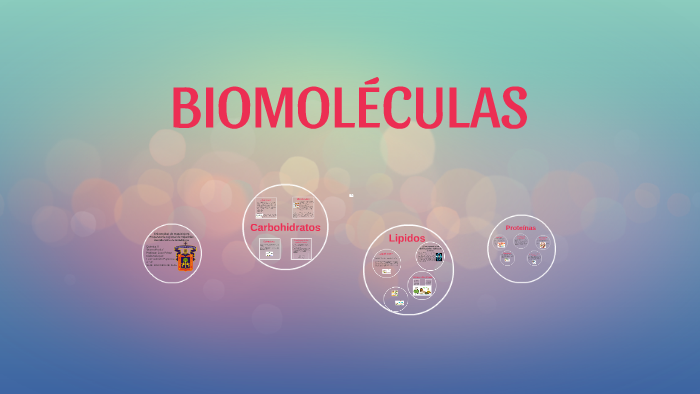 BIOMOLÉCULAS by lizeth Atondo on Prezi