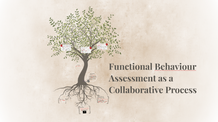 Functional Behaviour Assessment as a Collaborative Process by Ellen ...