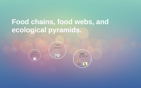 Food chains, food webs, and ecological pyramids. by Steffanie Galvan on ...