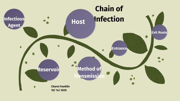 Chain of Infection by Charm Franklin on Prezi