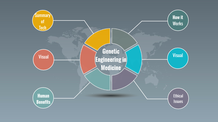 Genetic Engineering in Medicine by Kara Rather on Prezi