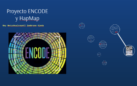 Proyecto ENCODE by Rey Net on Prezi