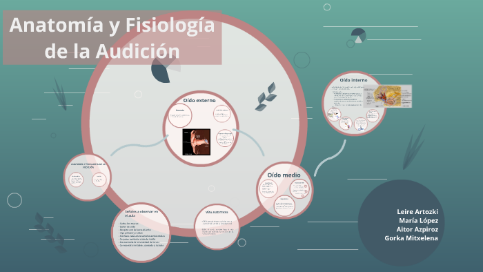 Anatomía y Fisiología de la Audición by maria ugartemendia on Prezi