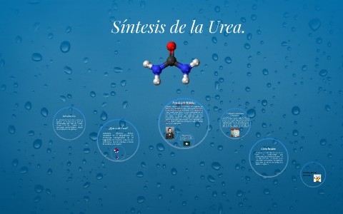 Síntesis de la Urea. by pilar ignacio aguilera rebolledo on Prezi