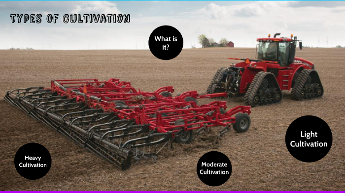 Types of Cultivation by Sam Maccoll on Prezi