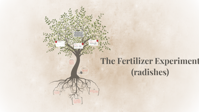 Fertilizer Experiment by Matt gonch on Prezi