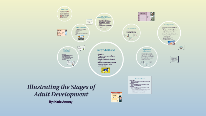 Illustrating the Stages of Adult Development by Katie Antony on Prezi