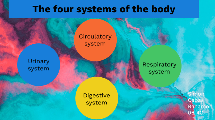 The four systems of the body by Simon CabasBAHAMON on Prezi
