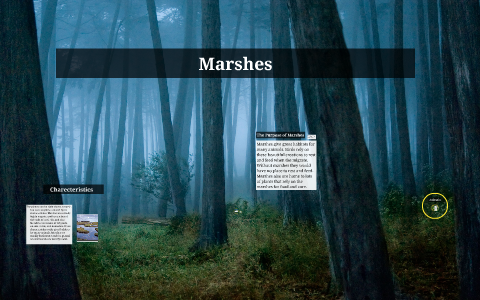 Marshes by Ana Cullen on Prezi