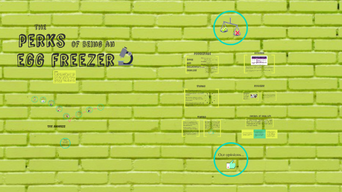 the perks of being an egg freezer by Sierra Perkins on Prezi