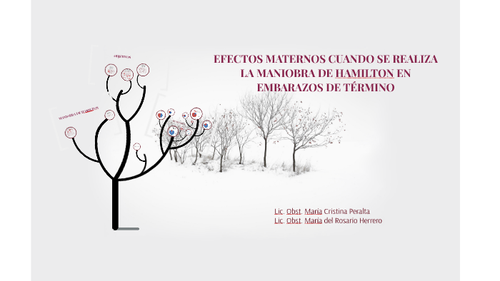 maniobra de hamilton by Javier Moreno on Prezi