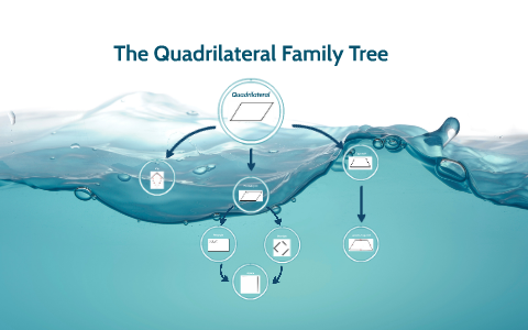 The Quadrilateral Family Tree by Cesar Herrera