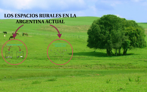 Los espacios rurales en la Argentina actual by Florencia Conci
