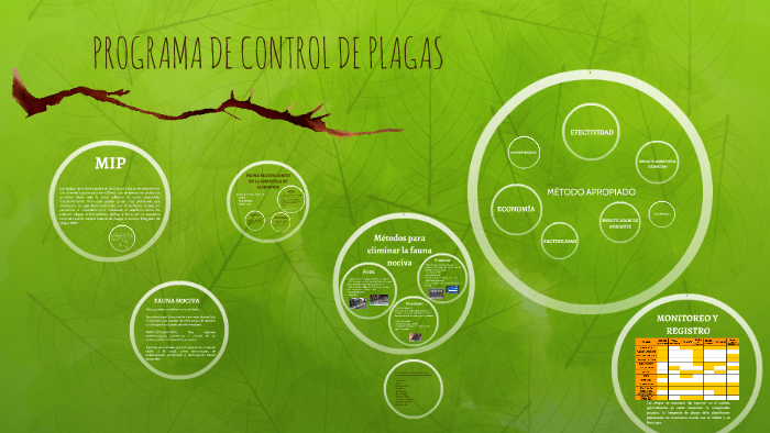 PROGRAMA DE CONTROL DE PLAGAS by Andrea Lara on Prezi