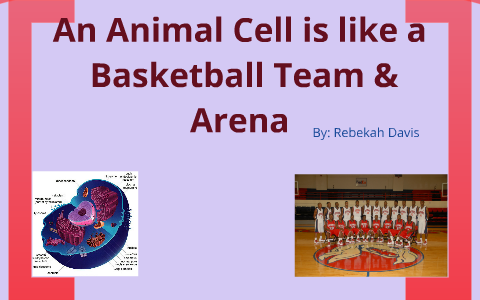 Animal Cell vs Basketball Team & Arena by Rebekah Davis on Prezi