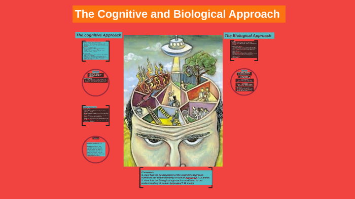 Week 12 - The cognitive and Biological Approach by Jason Batson on Prezi
