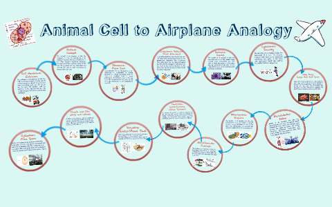 Cell Comparison: Airplane by Daniel Kim on Prezi