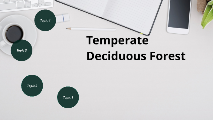 Deciduous Forests by Mersàus Cardinal on Prezi