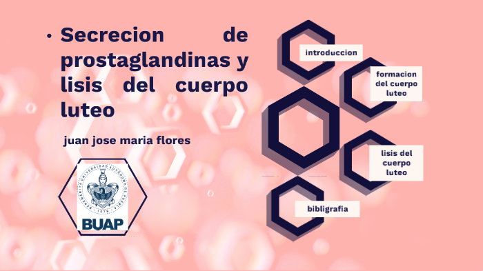 secrecion de prostaglandinas y lisis del cuerpo luteo by Juan Jose ...